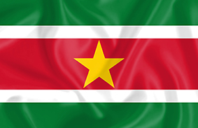 Vlag Suriname - Waelkens NV