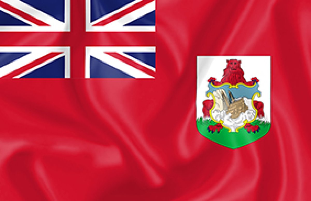 Vlag Bermuda - Waelkens NV